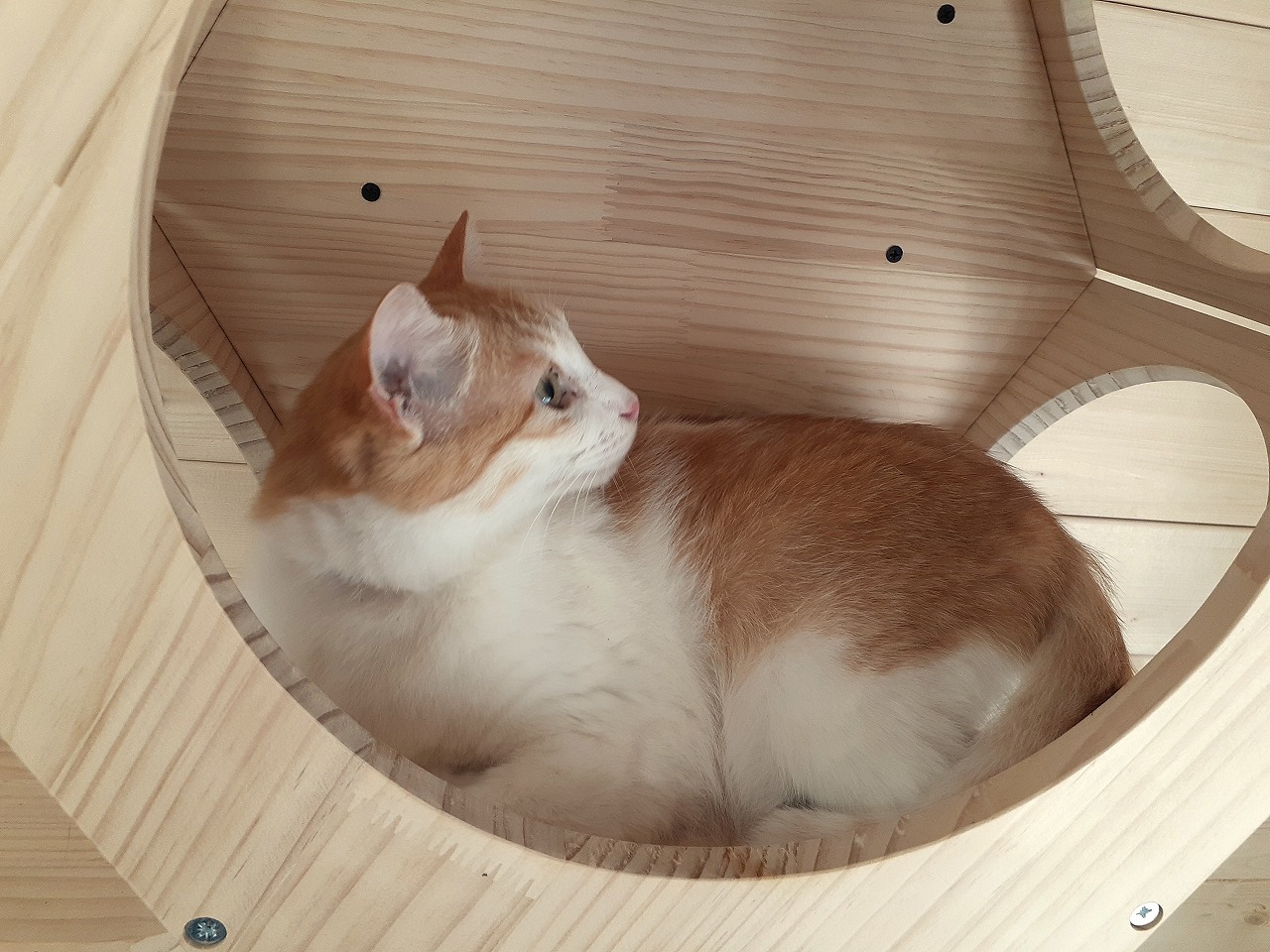 ファンテーン出水-203 3LDK 中央区出水4丁目 | 熊本の不動産情報 きたがわ住宅産業株式会社